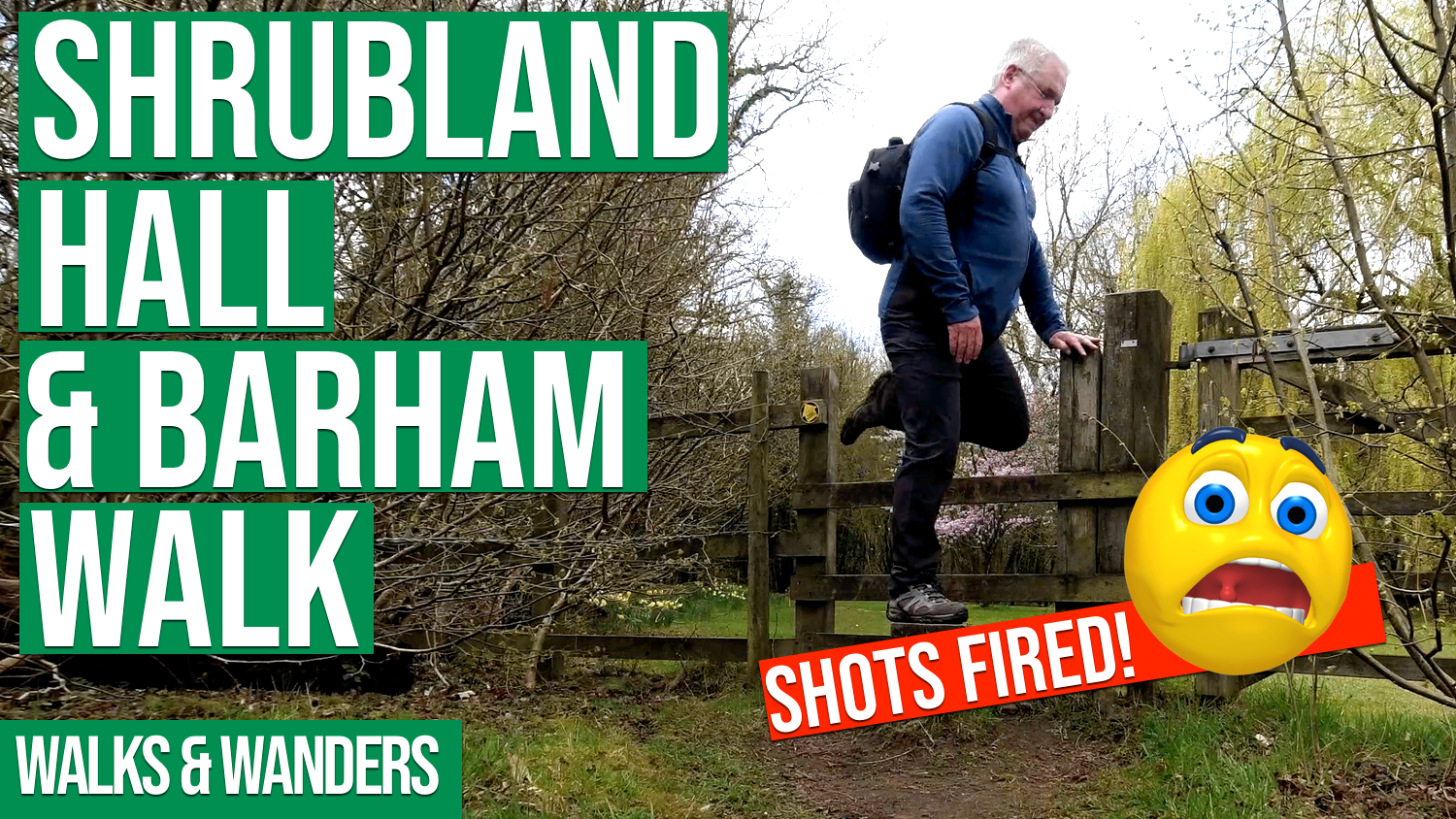 Shrubland Hall and Barham Walk – walks and wanders